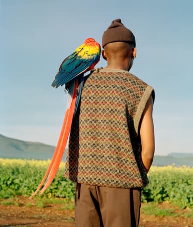 Kent Andreasen — For Your Consideration